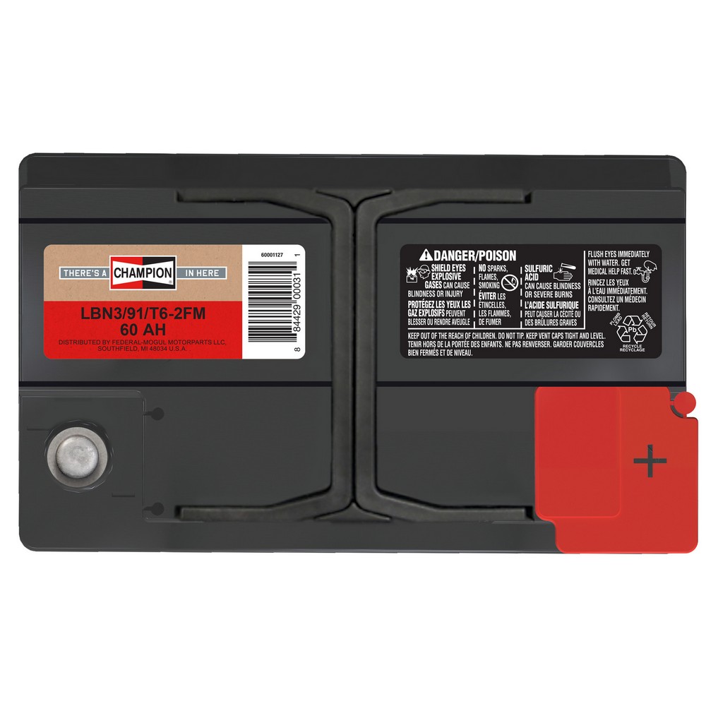 Champion LBN3/91/T6-2FM Battery – FORTLUFT Auto Parts